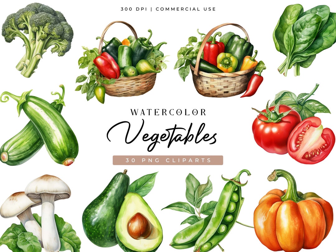30 Watercolor Vegetables Clipart Bundle Sublimation Designs Digital ...
