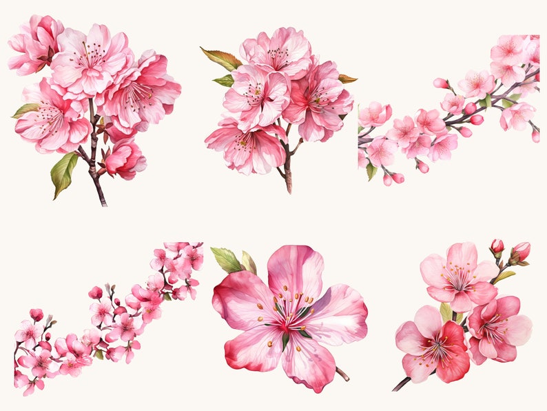 27 Watercolor Cherry Blossom Clipart Bundle Png Designs Digital ...