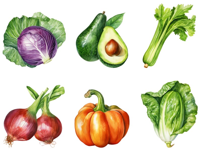 30 Watercolor Vegetables Clipart Bundle Sublimation Designs Digital ...