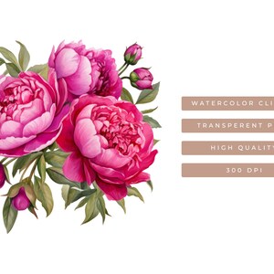 20 Watercolor Peonies and Roses Clipart Bundle Sublimation Designs ...
