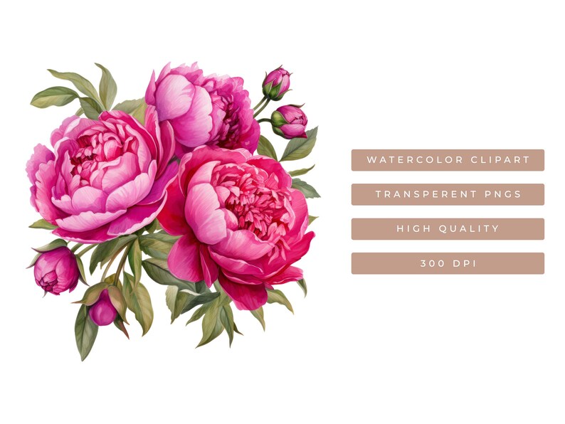 20 Watercolor Peonies and Roses Clipart Bundle Sublimation Designs ...