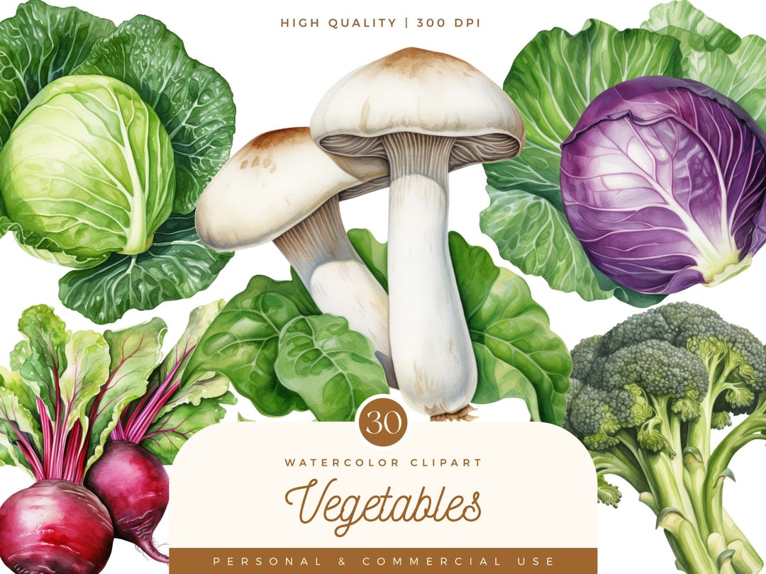 30 Watercolor Vegetables Clipart Bundle Sublimation Designs Digital ...