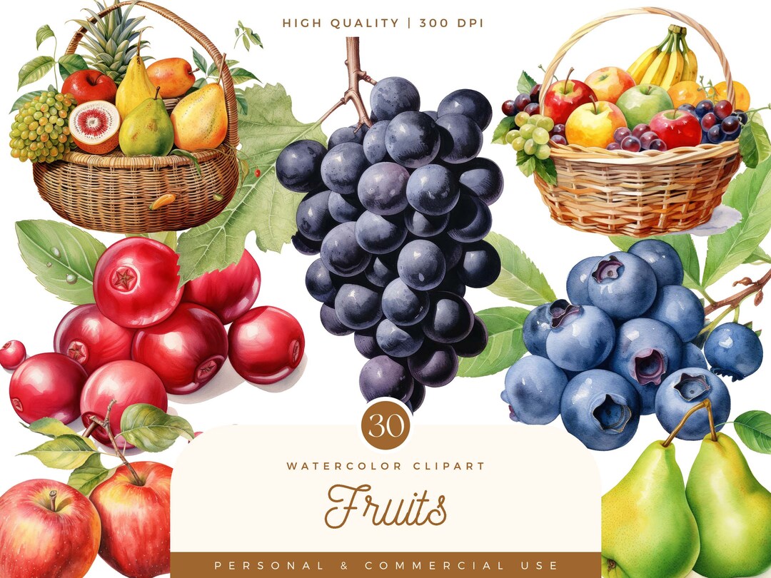 30 Watercolor Fruits Clipart Bundle Sublimation Designs Digital ...
