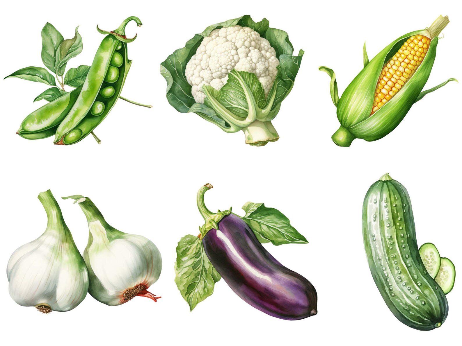 30 Watercolor Vegetables Clipart Bundle Sublimation Designs Digital ...