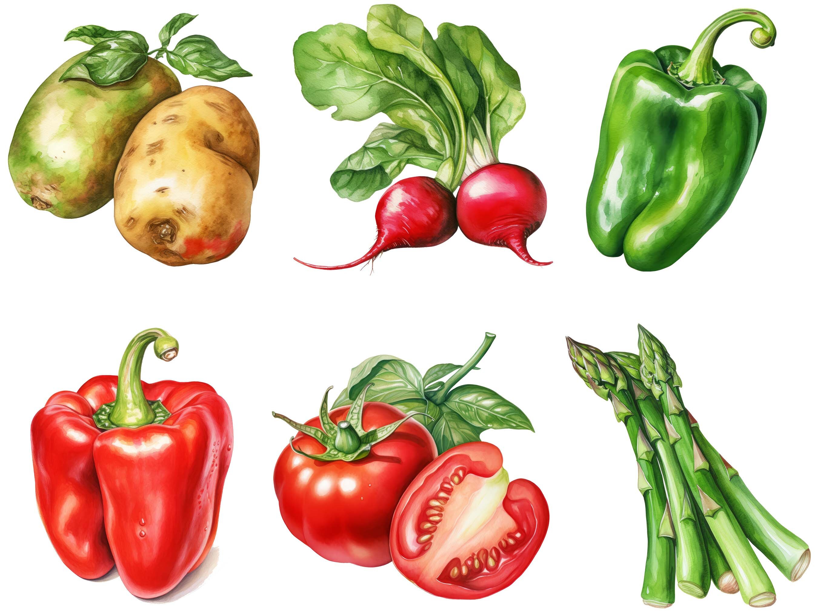 30 Watercolor Vegetables Clipart Bundle Sublimation Designs Digital ...