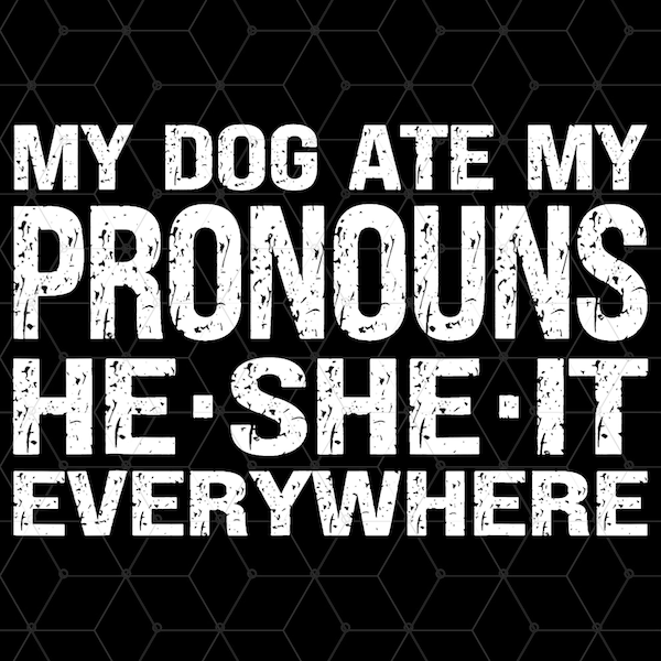 Funny Pronouns Meme - Etsy Canada