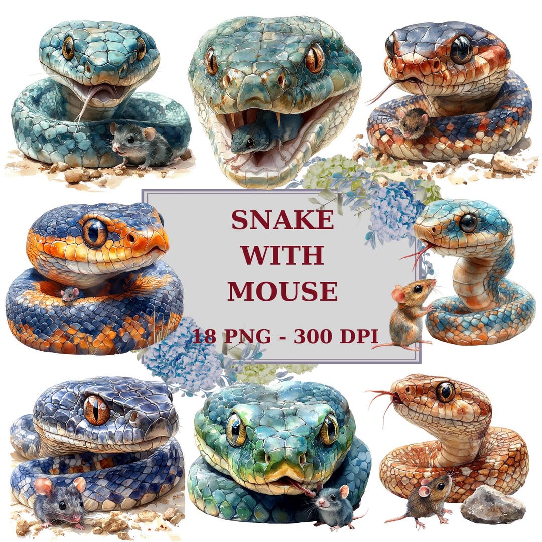 18 Snake With Mouse Clipart, Colorful Snakes, Snake Eating a Mouse ...