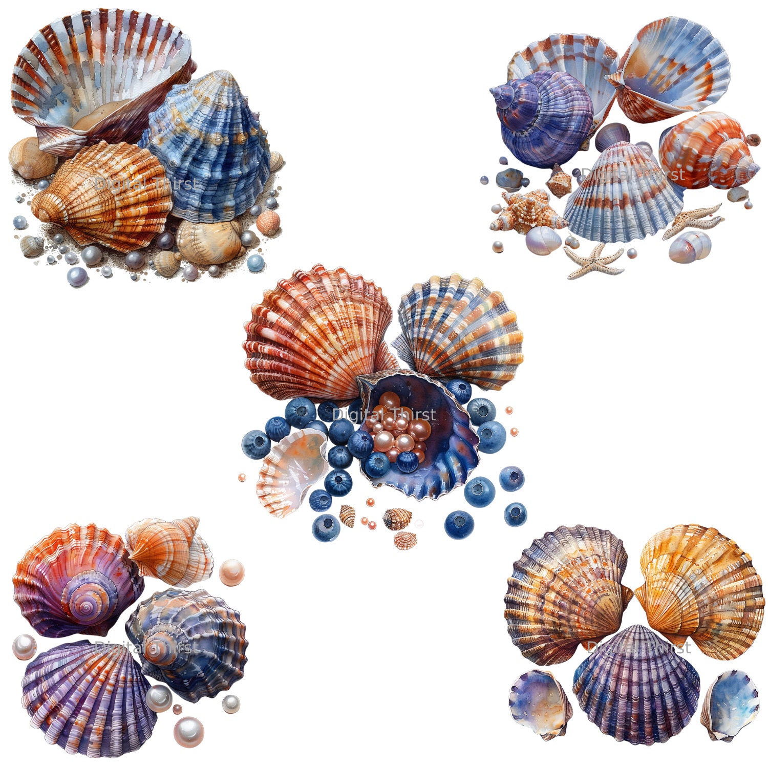 15 Colorful Sea Shells Clipart, Pearls, Sand, Seashell Digital Clipart ...