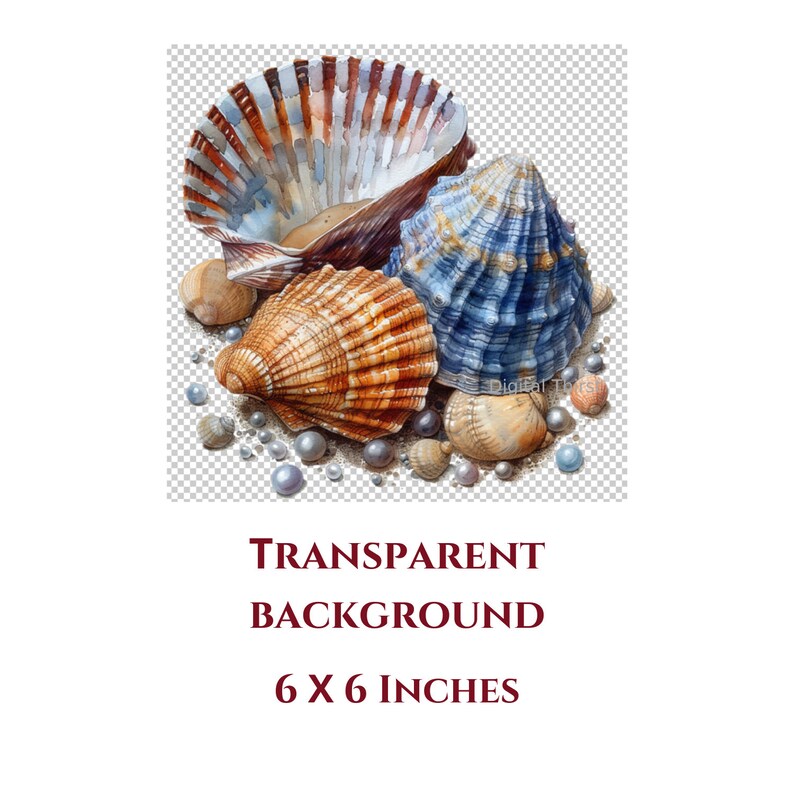 15 Colorful Sea Shells Clipart, Pearls, Sand, Seashell Digital Clipart ...