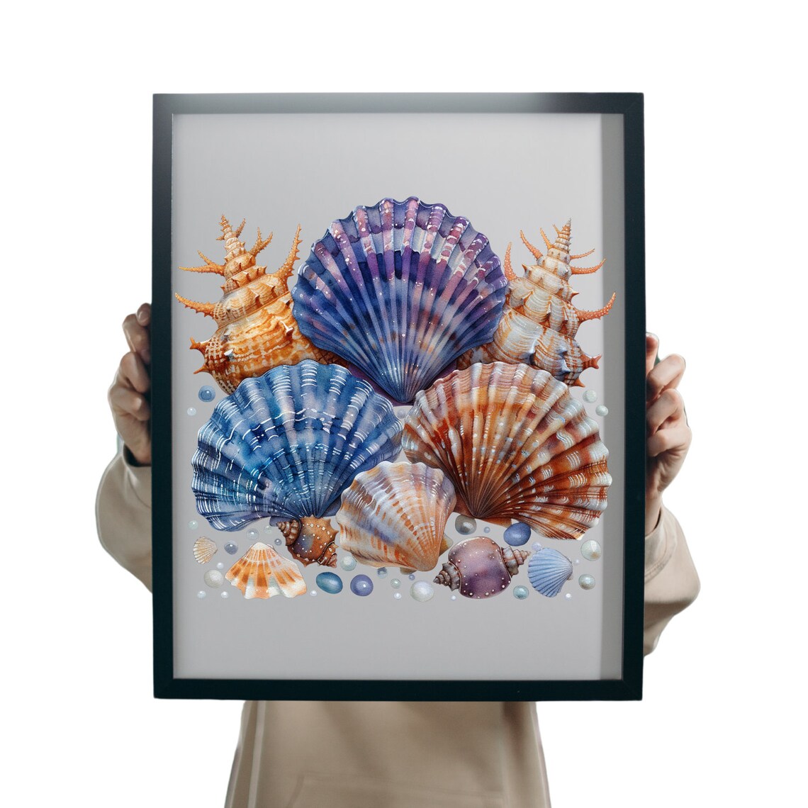 20 Colorful Sea Shells Clipart, Pearls, Sand, Seashell Digital Clipart ...