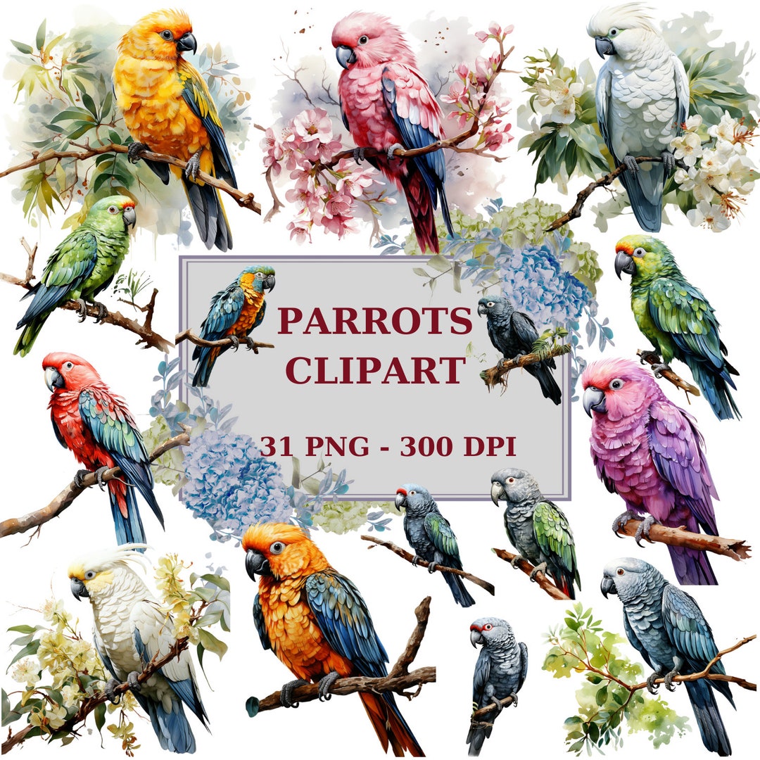 Watercolor Parrots Clipart, Colorful Parrots on a Branch With Flowers ...