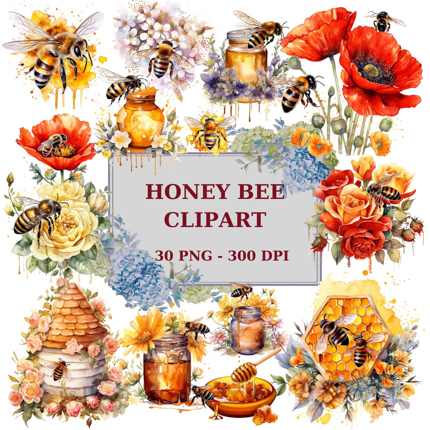 Watercolor Honey Bee Clipart, Bees With Flowers & Roses, Poppies With ...