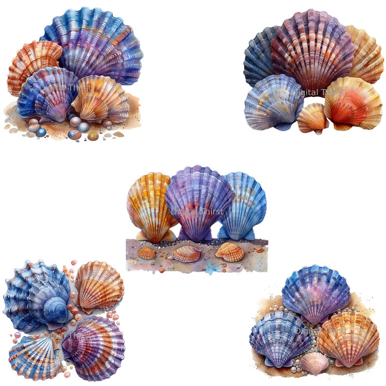 20 Colorful Sea Shells Clipart, Pearls, Sand, Seashell Digital Clipart ...