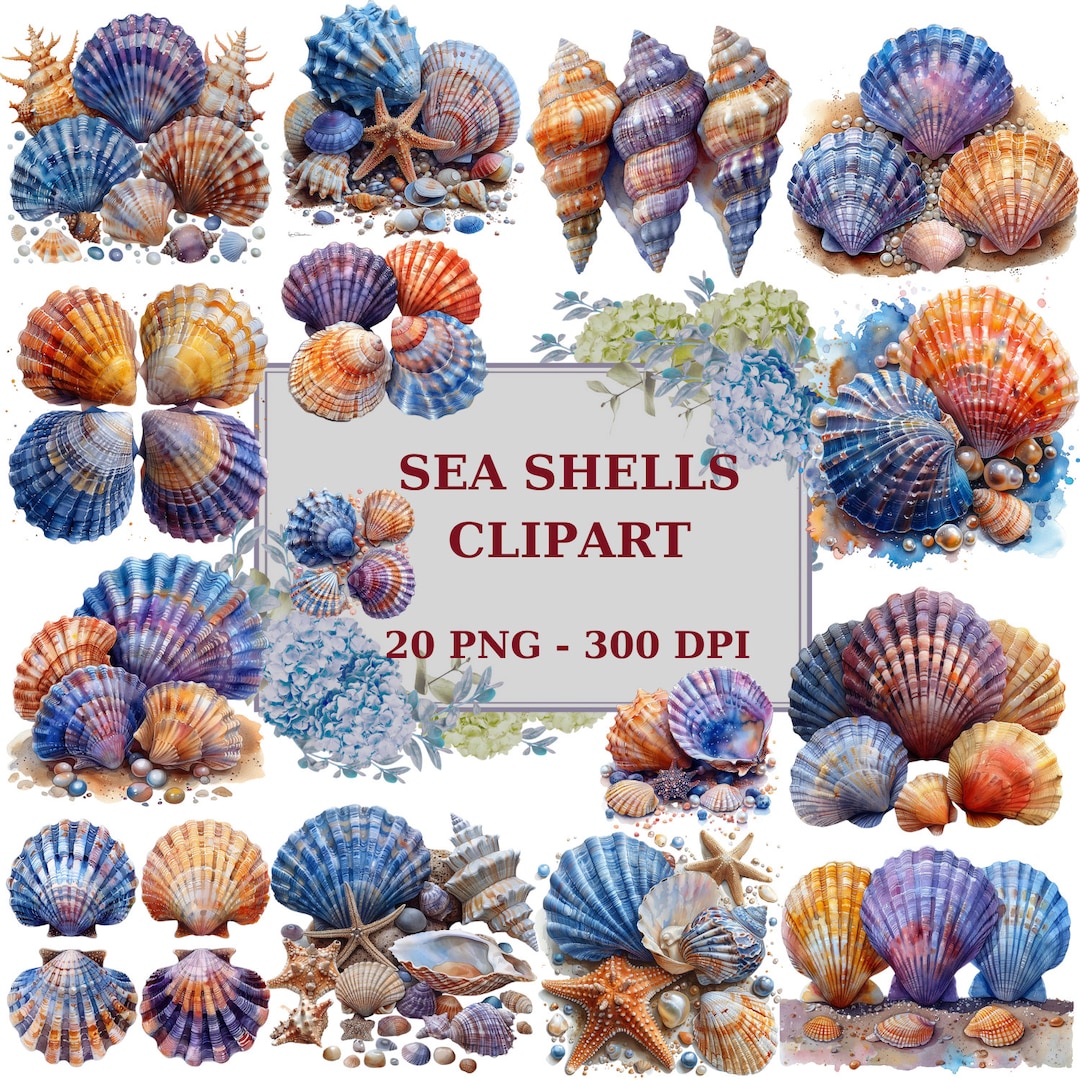 20 Colorful Sea Shells Clipart, Pearls, Sand, Seashell Digital Clipart ...