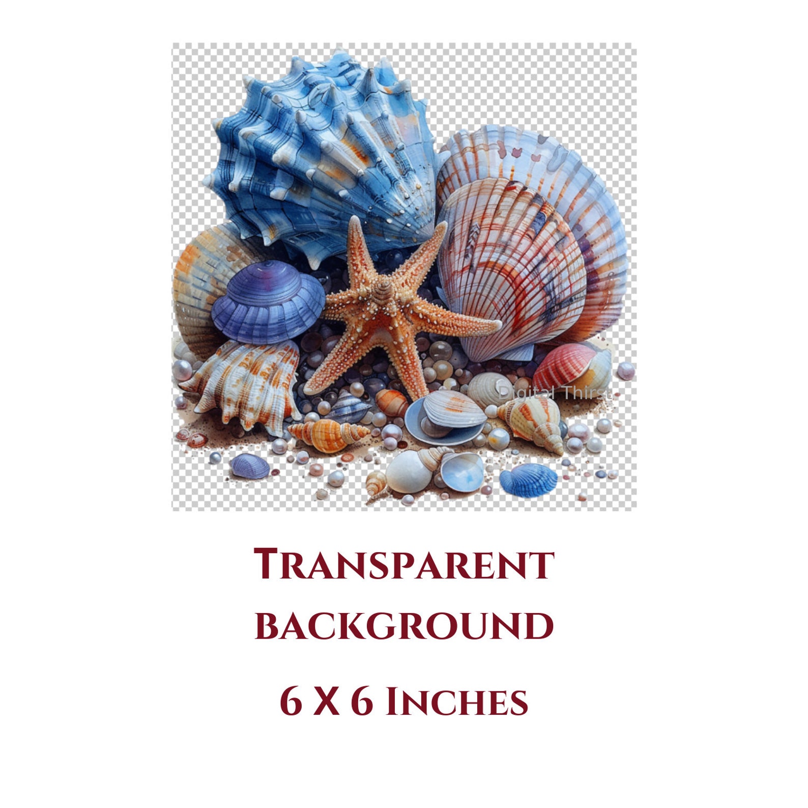 20 Colorful Sea Shells Clipart, Pearls, Sand, Seashell Digital Clipart ...