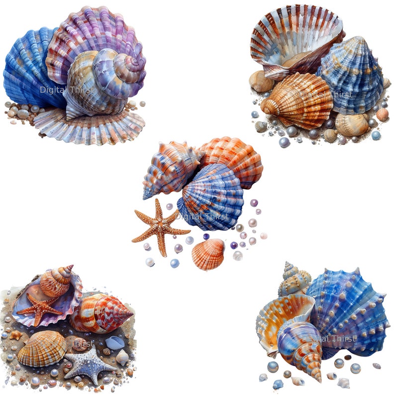 15 Colorful Sea Shells Clipart, Pearls, Sand, Seashell Digital Clipart ...