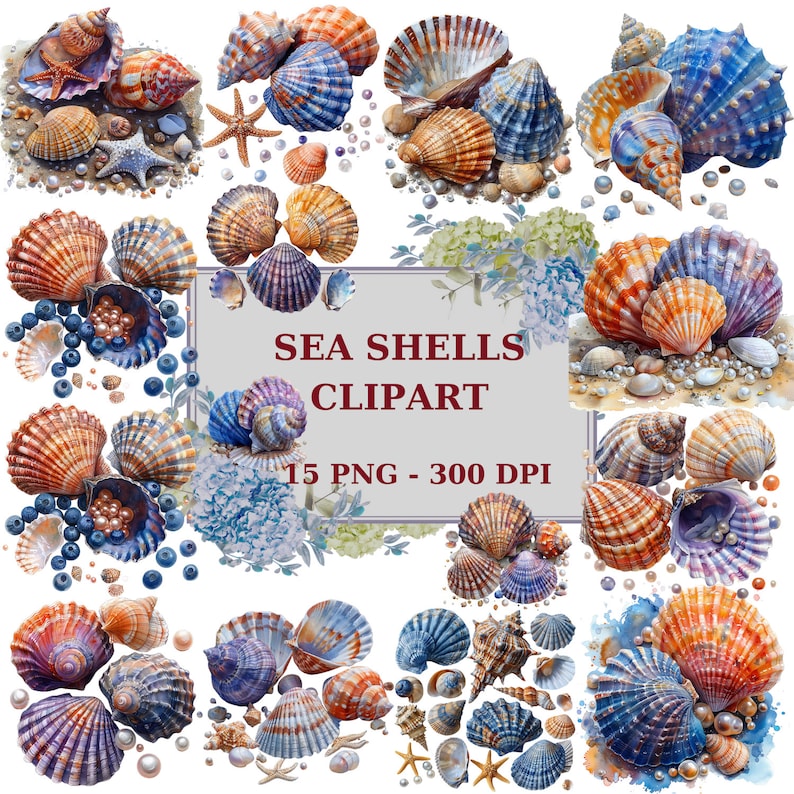 15 Colorful Sea Shells Clipart, Pearls, Sand, Seashell Digital Clipart ...