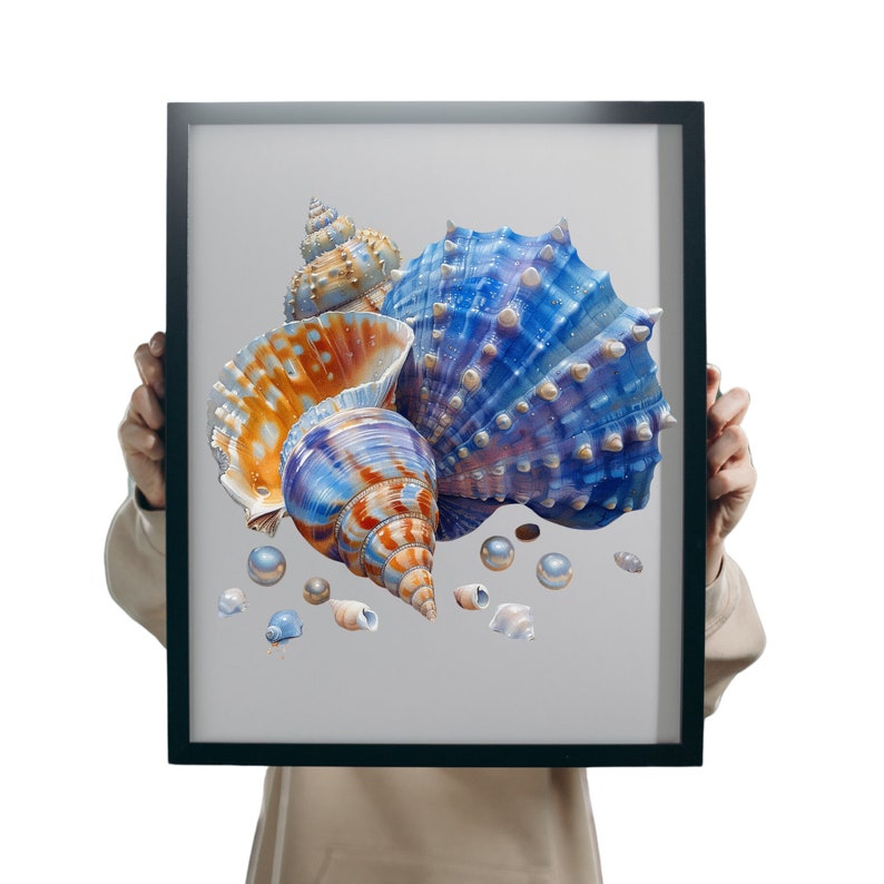 15 Colorful Sea Shells Clipart, Pearls, Sand, Seashell Digital Clipart ...