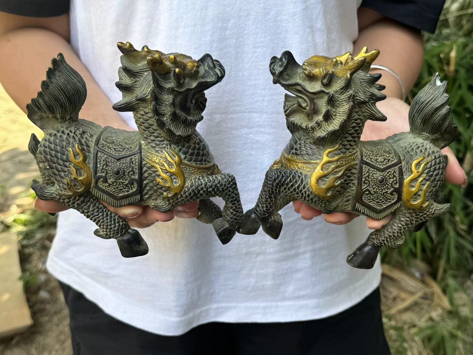 Pair Wealth Pixiu Statue Feng Shui Decor Kirin Pi Yao, Copper Kylin ...