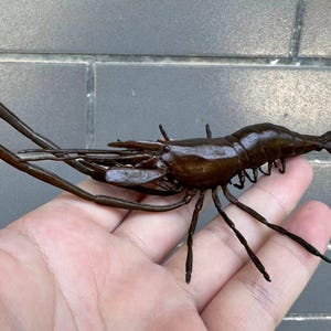 Vintage Copper Shrimp Figure Japanese Antique Metal Sea Animal Artisan ...