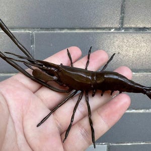 Vintage Copper Shrimp Figure Japanese Antique Metal Sea Animal Artisan ...