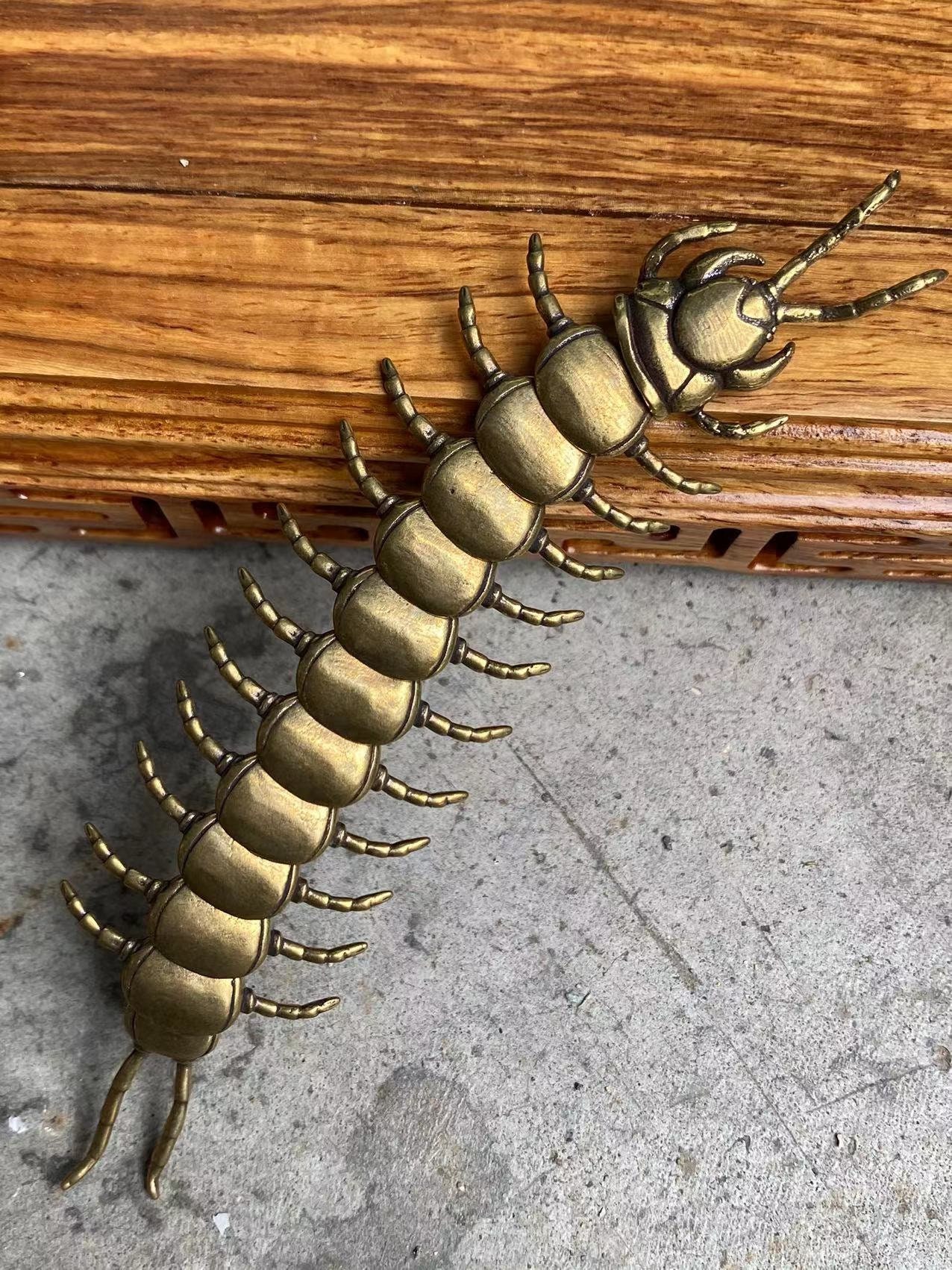 Solid Copper Cricket Statue Tank Decor Brasstaurus Insect Miniature ...