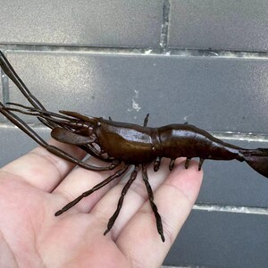 Vintage Copper Shrimp Figure Japanese Antique Metal Sea Animal Artisan ...