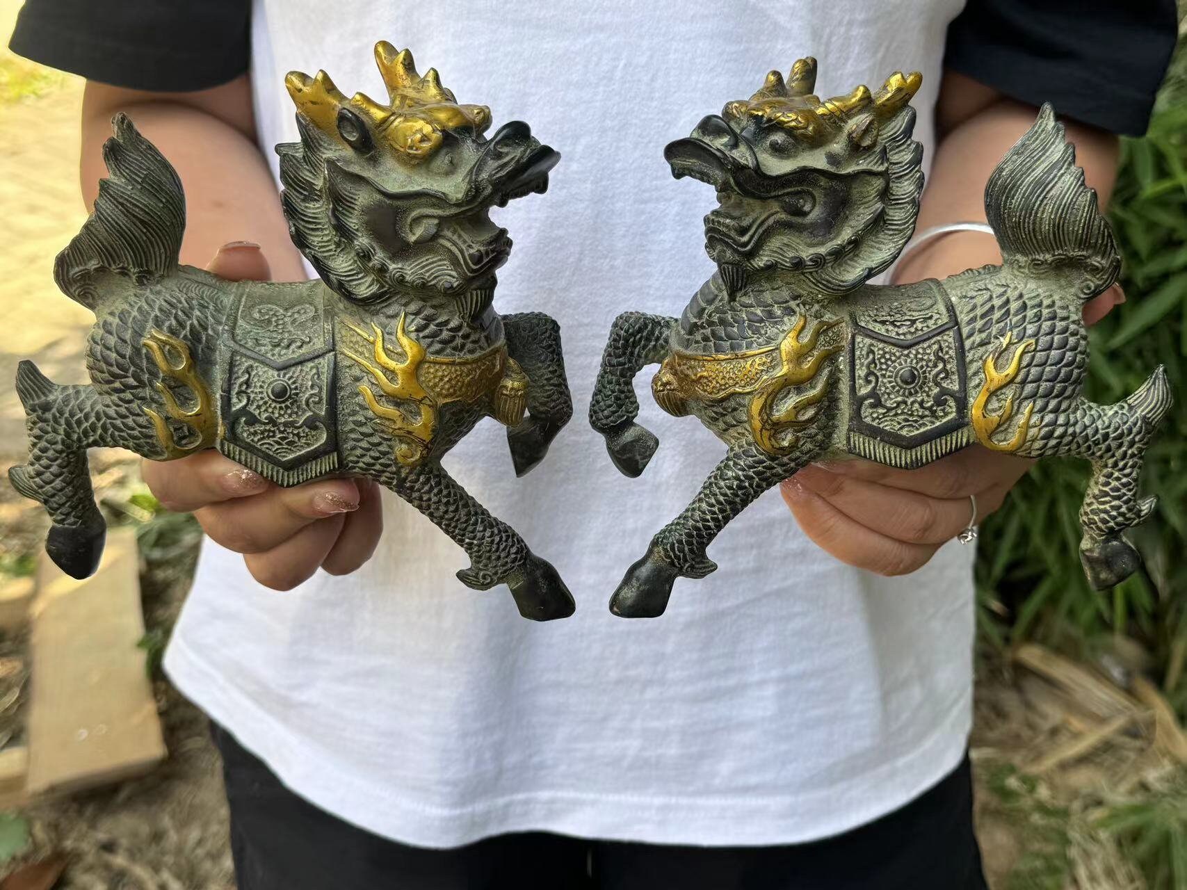 Pair Wealth Pixiu Statue Feng Shui Decor Kirin Pi Yao, Copper Kylin ...
