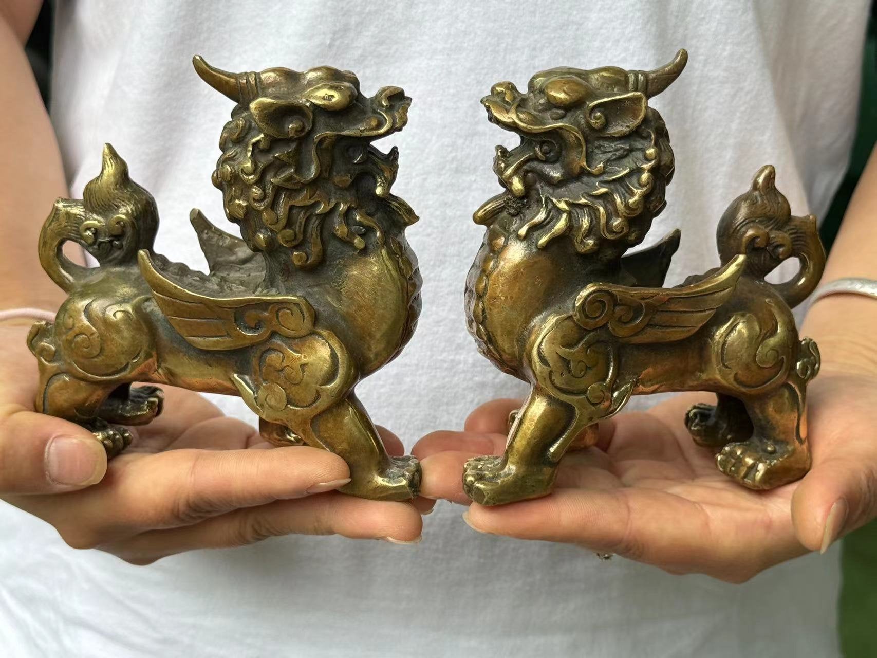 Pair Copper Fengshui Animal Pixiu Beast Wealth Lucky Bixie Statue ...