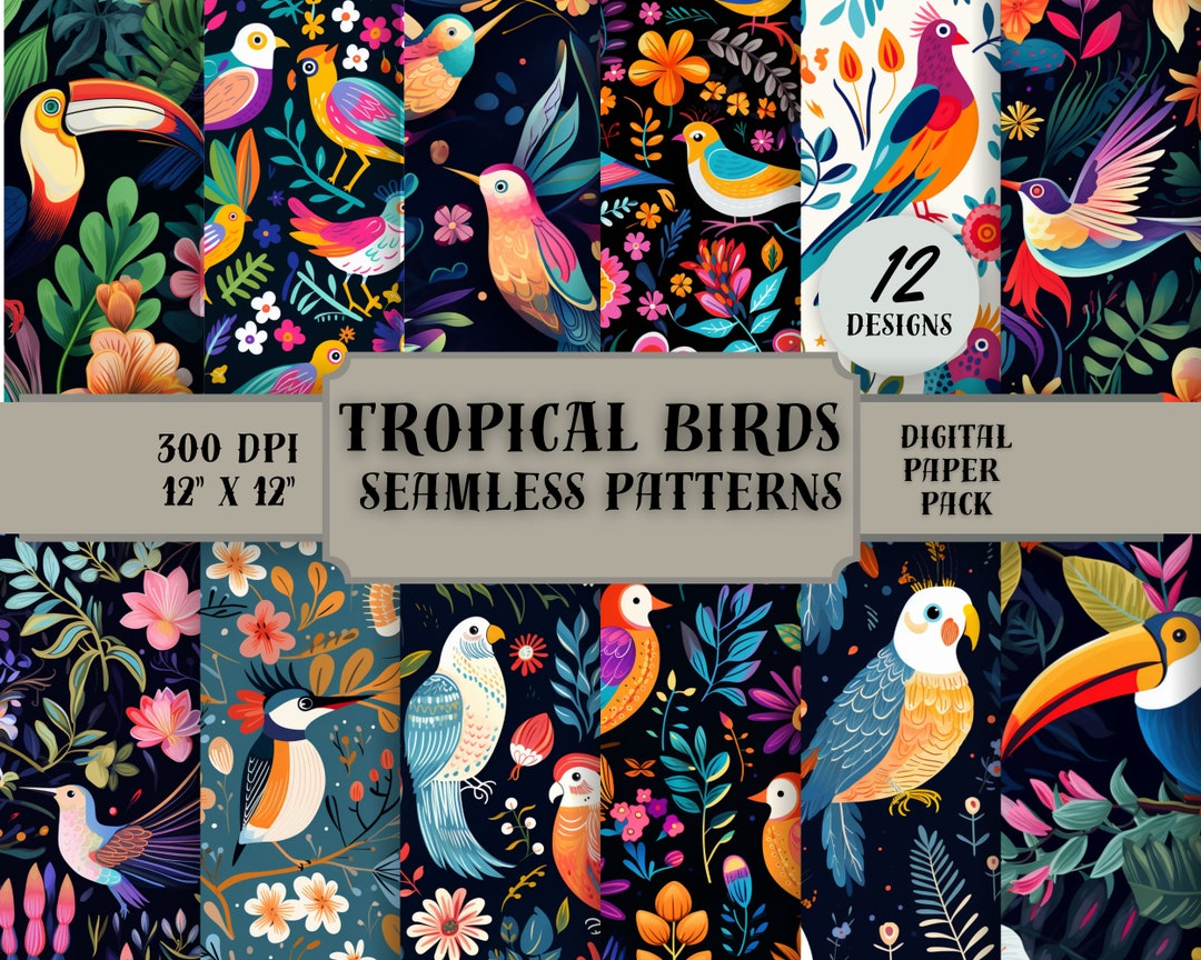 Tropical Birds Seamless Patterns, Toucans, Hummingbirds & Cockatoos ...