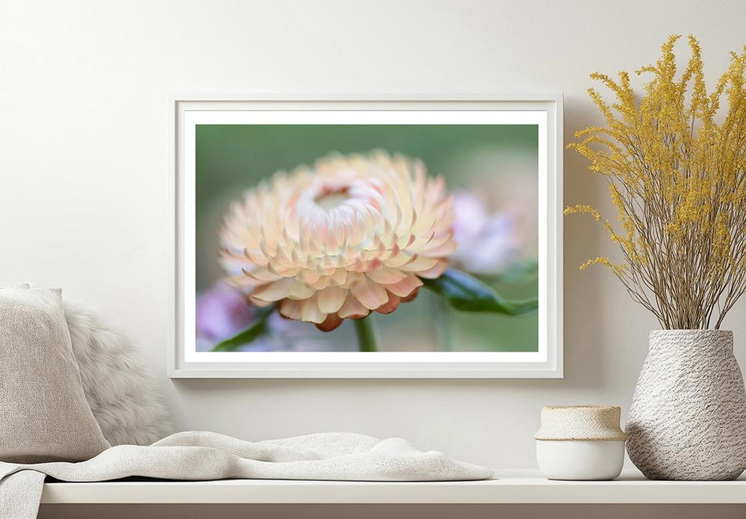 Limited Edition, Fine Art Photography, Giclée Print, Photography, Wall ...