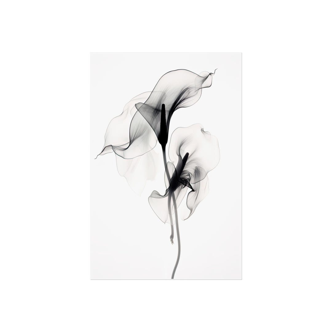 Botanical Radiance: an X-ray of Calla Lilies, Elegant Floral Fine Art ...