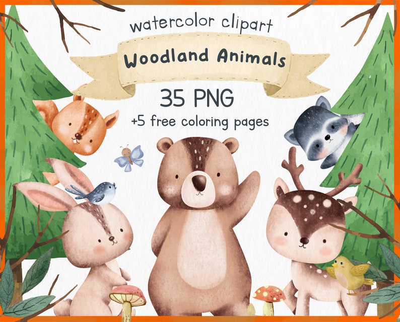Cute Forest Animals Watercolor Clipart, Baby Woodland Animals, Nursery ...