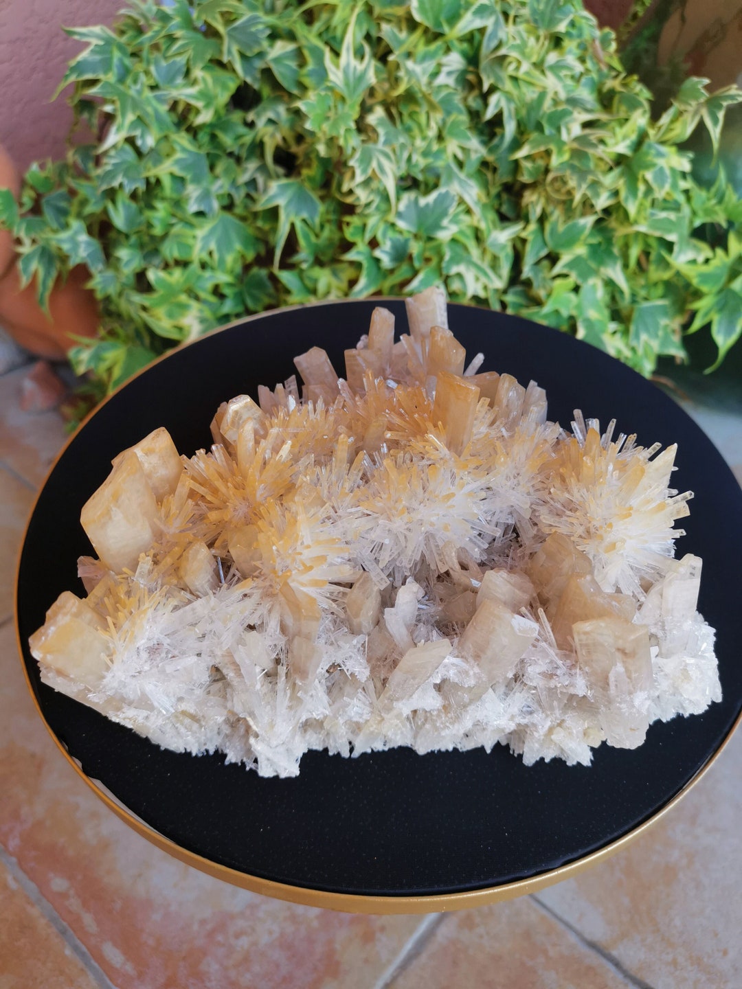 White Crystallized Gypsum - Etsy