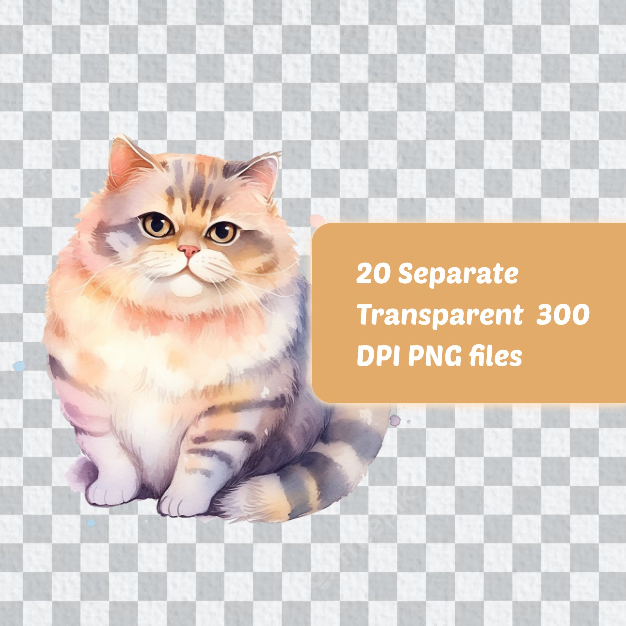 Chonky Cats Clipart Bundle 20 Images PNG High-resolution - Etsy