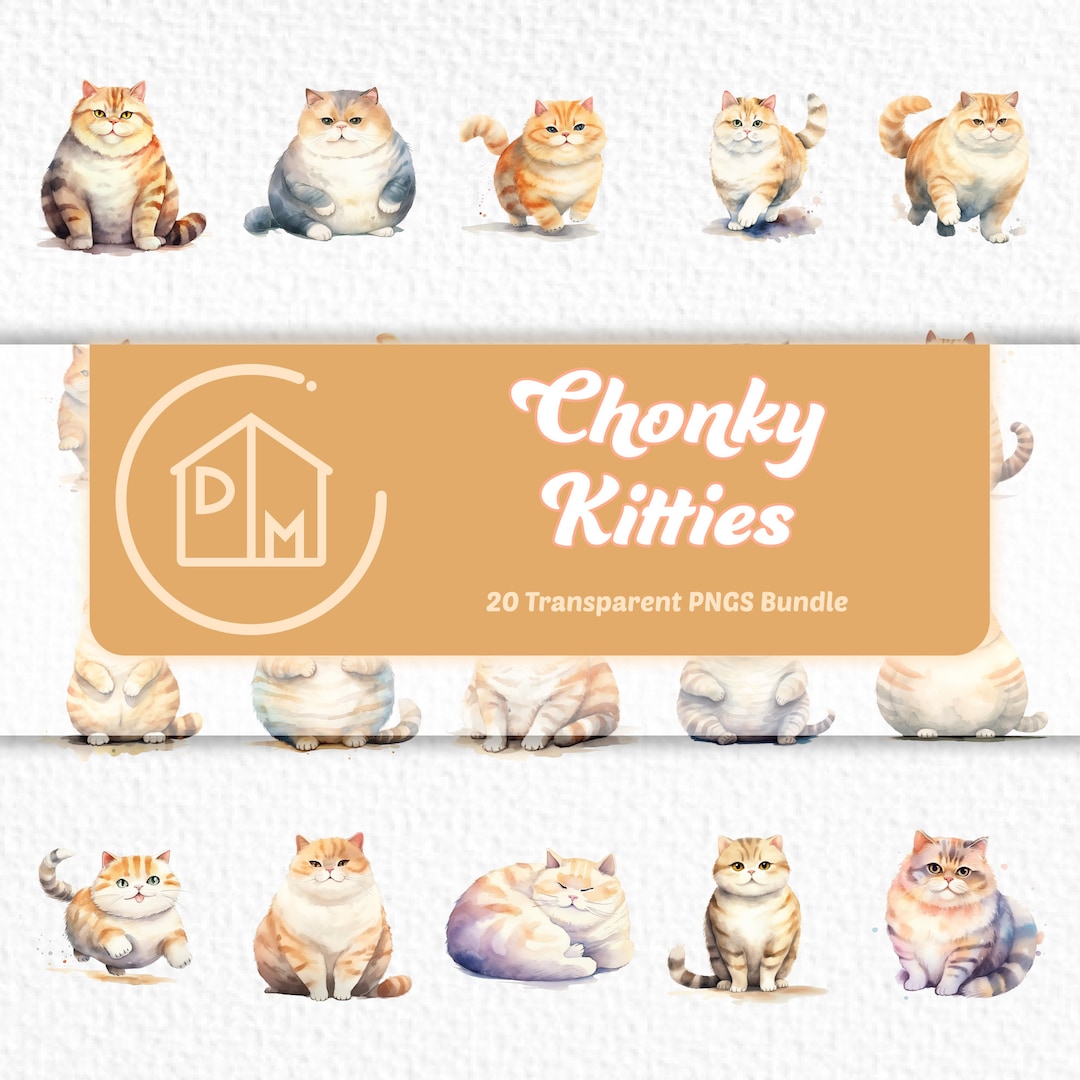 Chonky Cats Clipart Bundle 20 Images PNG High-resolution - Etsy