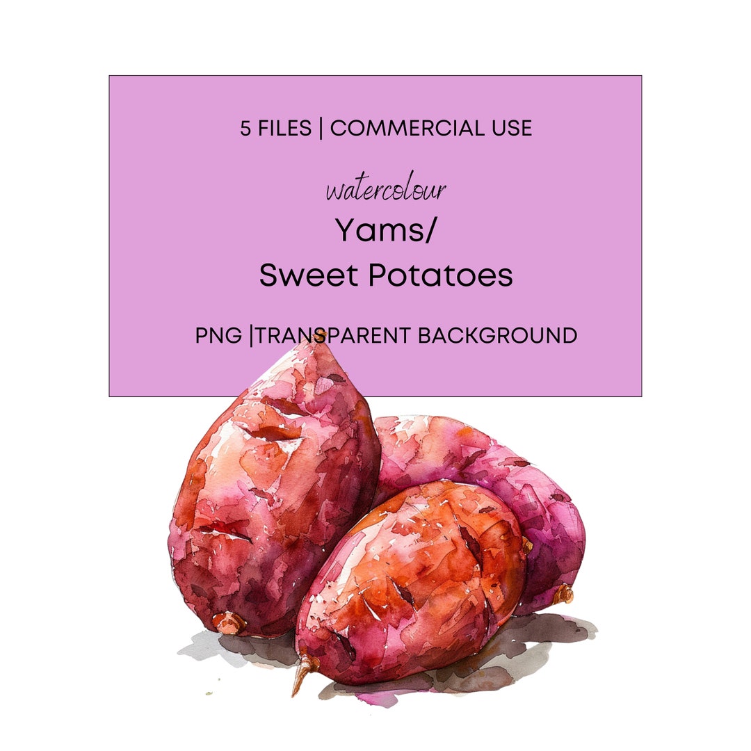 Watercolor Sweet Potato Clipart – 5 PNG Illustrations (digital Download ...