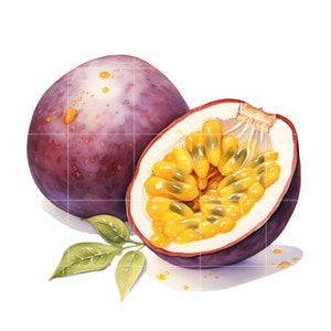 Watercolor Tropical Fruit Passion Fruit Fruit Illustration - Etsy