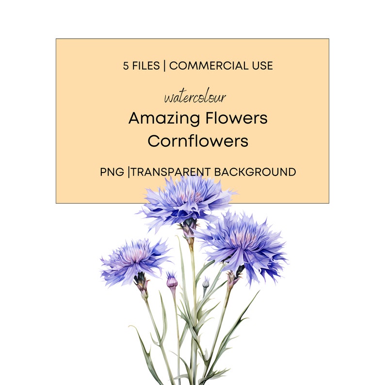 Watercolor Cute Cornflowers, 5 High Quality PNG With Transparent ...