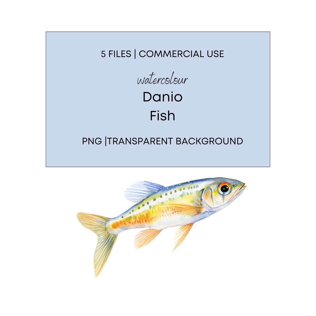 Watercolor Danio Fish, 5 High Quality PNG With Transparent Background ...
