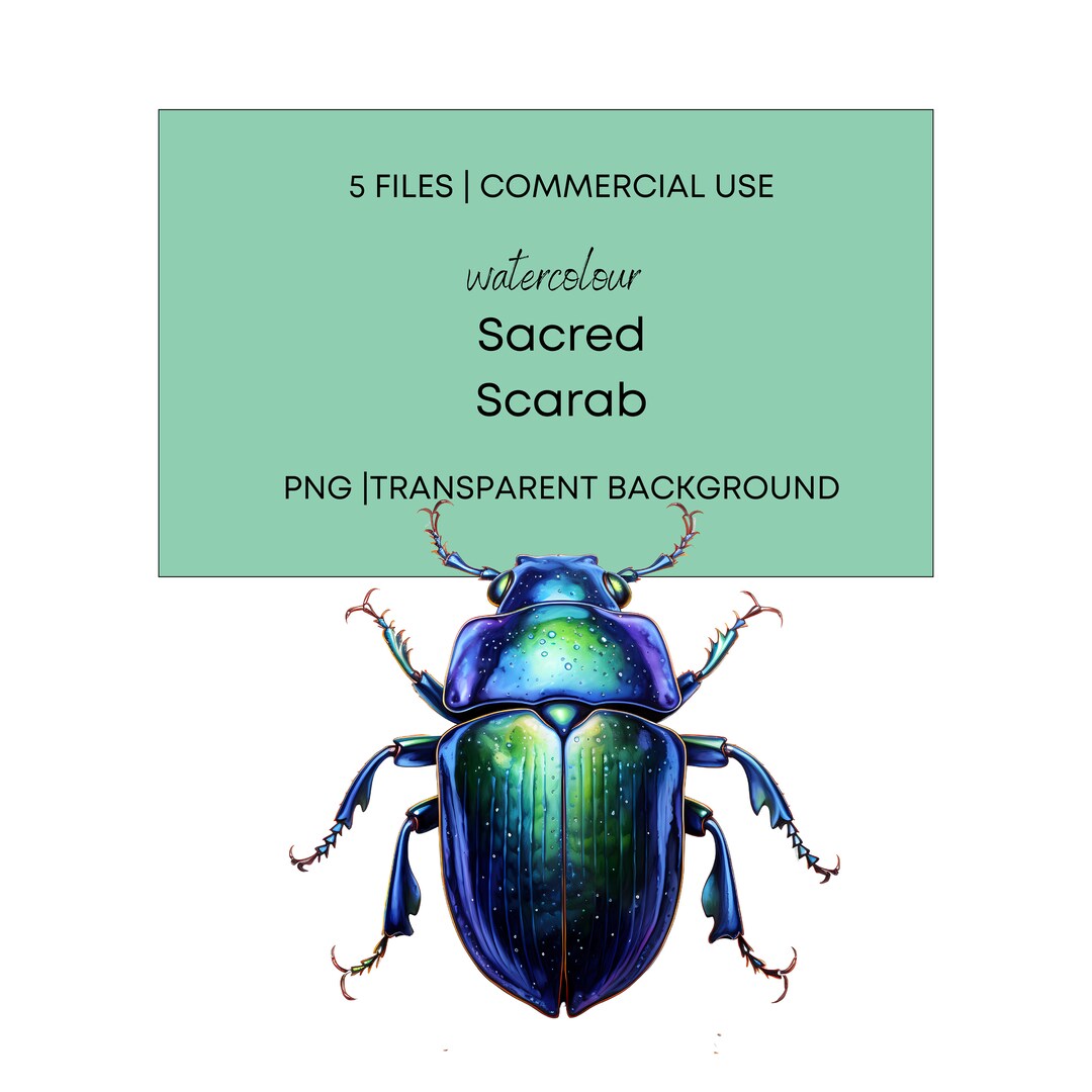 Watercolor Sacred Scarab, Scarab Illustration 5 High Quality PNG ...