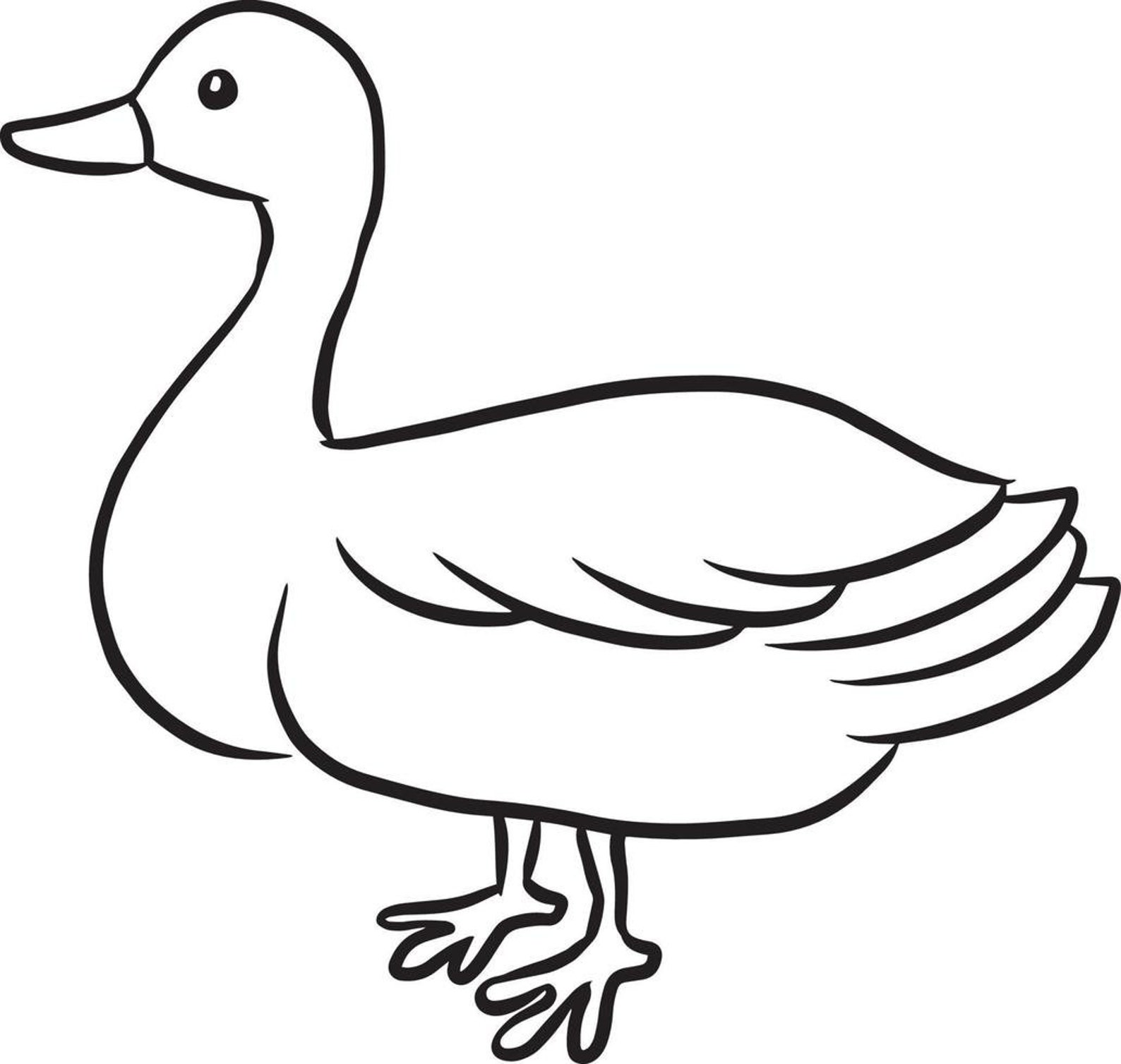 Duck Pencil Sketch in Digital Print Coloring Pages Home and Living - Etsy