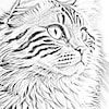 Cute Cat Pencil Sketch Digital Download - Etsy UK
