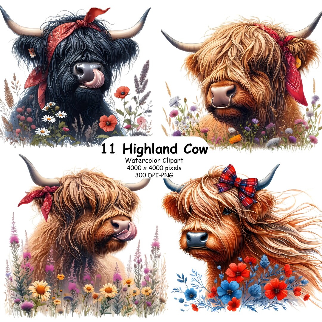 11 Watercolor Highland Cow With Poppy Flowers Clipart Bundle V.3, High ...