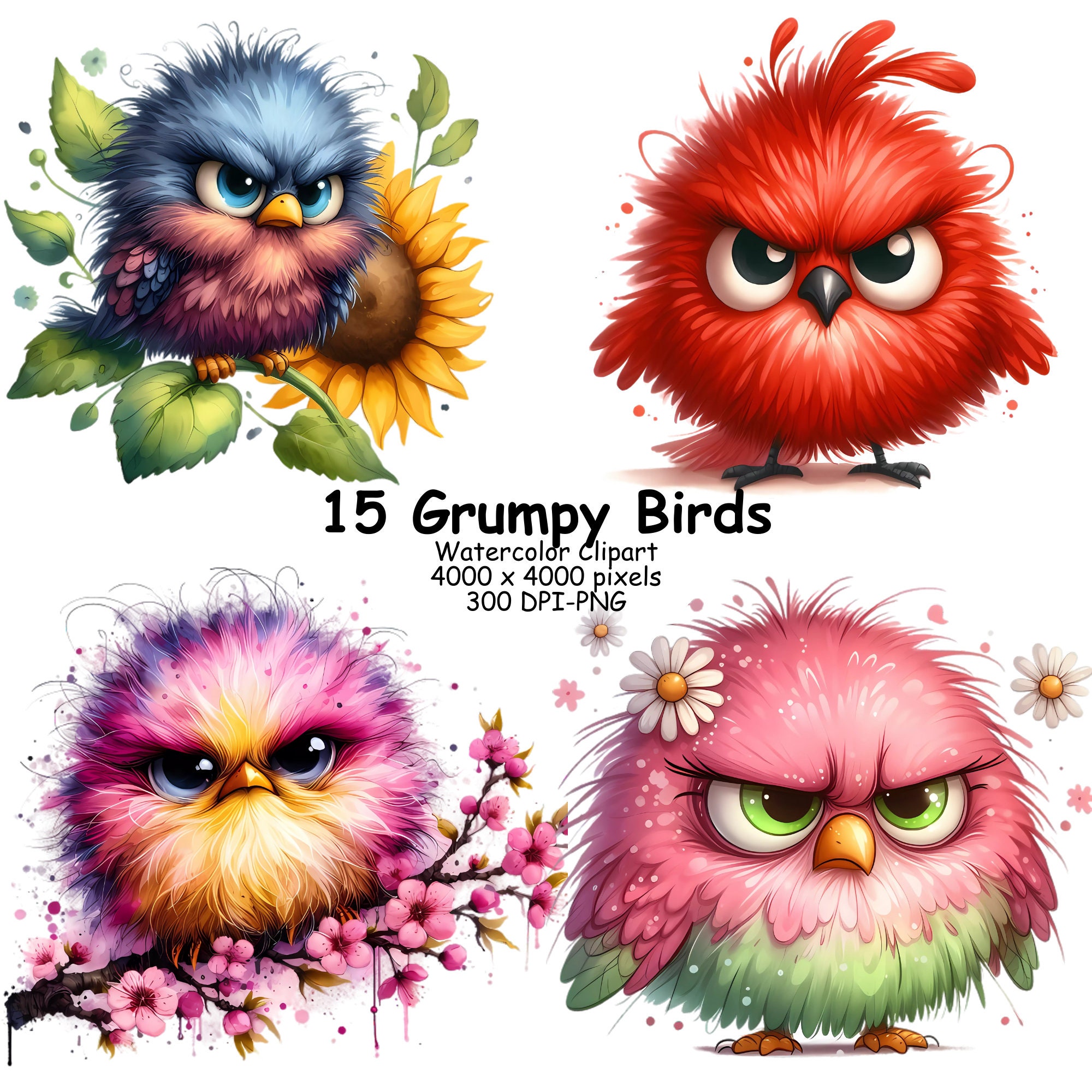 15 Grumpy Birds Watercolor Clipart, Cute Fluffy Birds, Digital Clipart ...