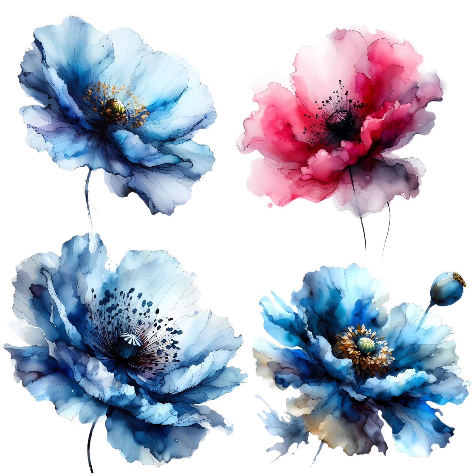 Abstract Poppy Flowers Clipart Bundle, Watercolor Pngs (digital ...