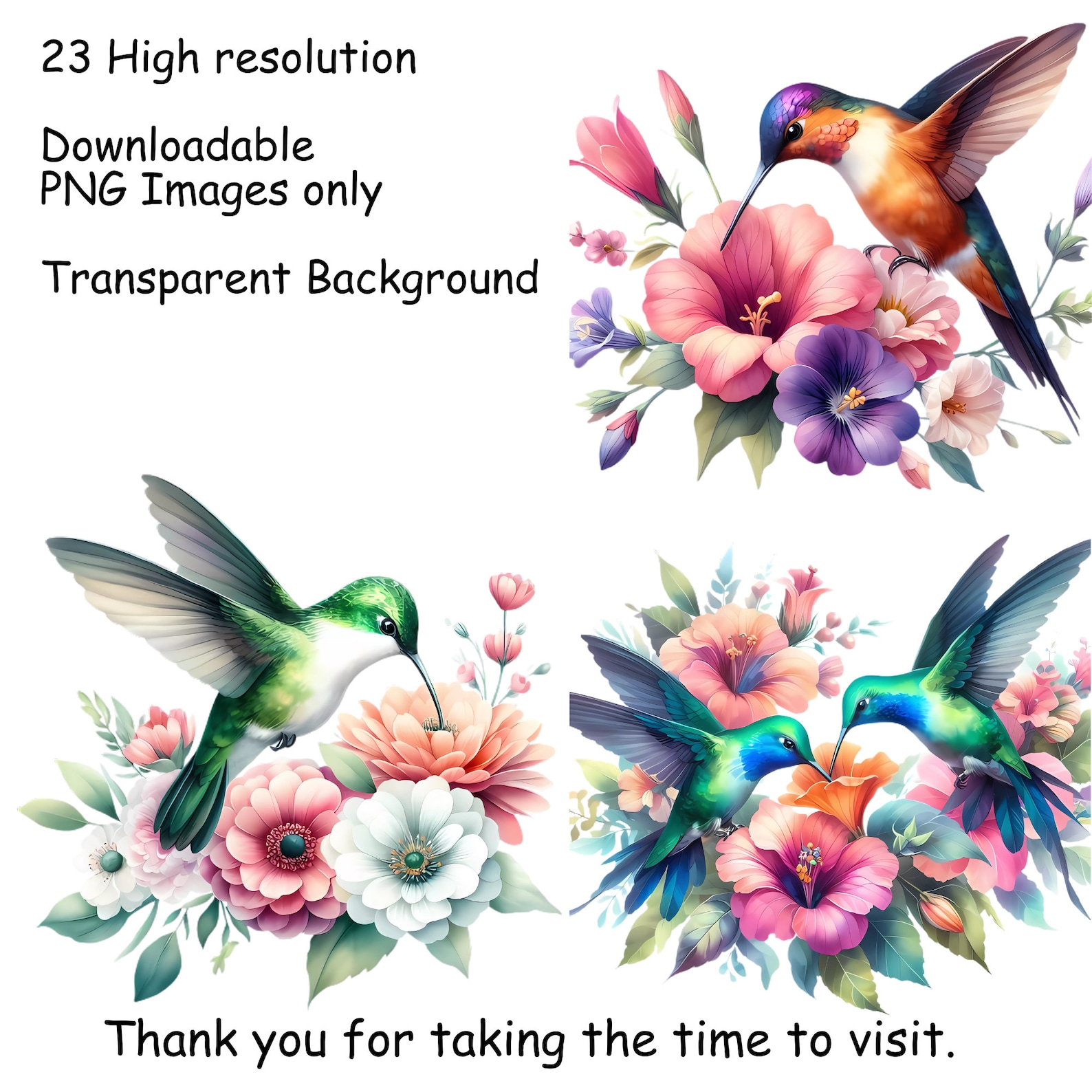 23 Watercolor Hummingbird Clipart Bundle. Transparent Background PNG ...