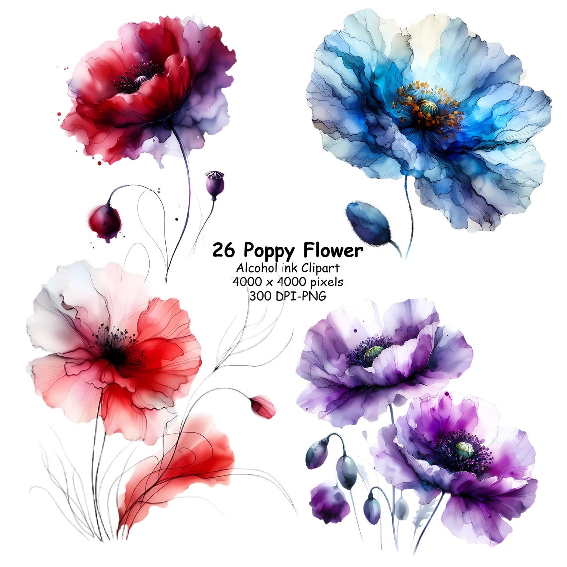Abstract Poppy Flowers Clipart Bundle, Watercolor Pngs (digital ...