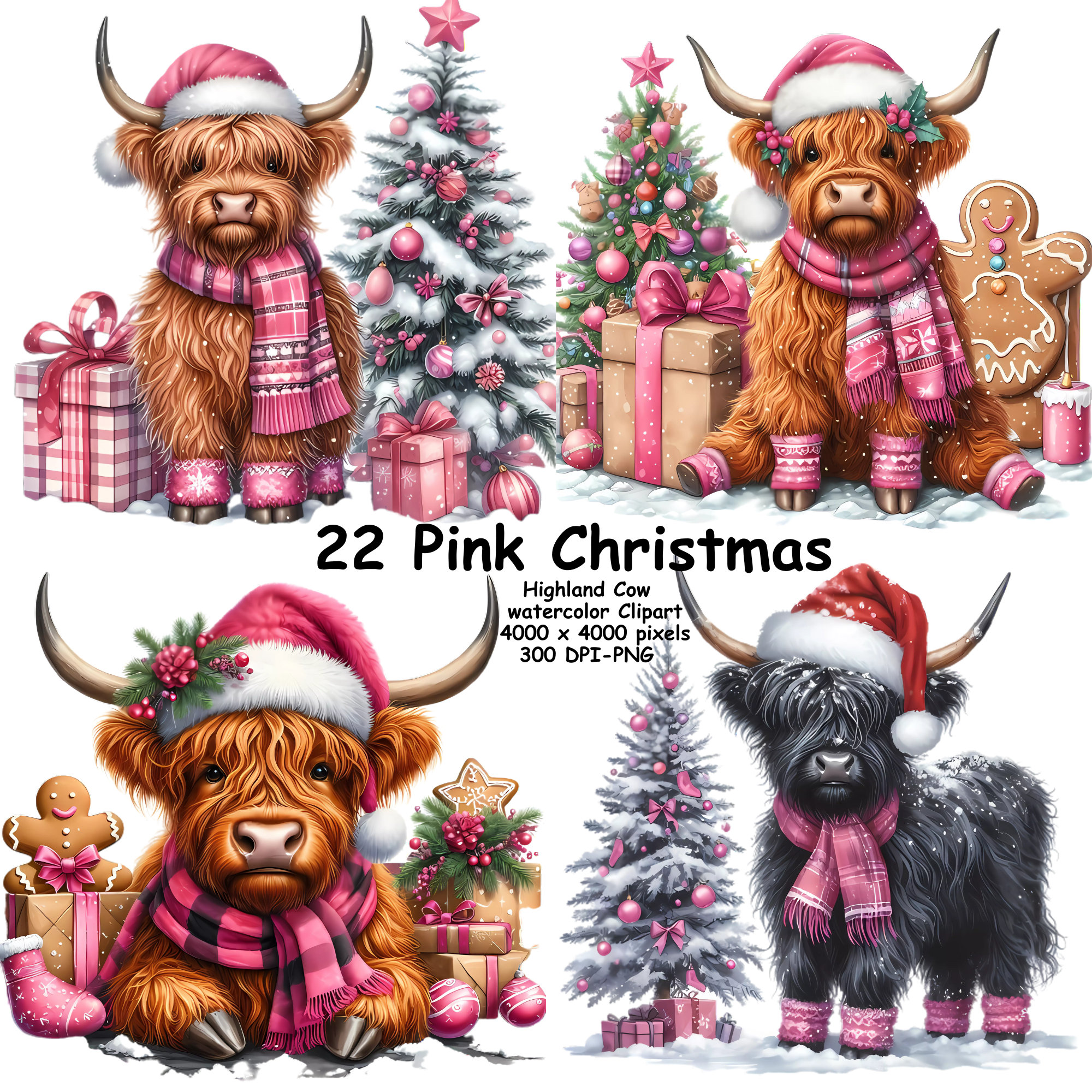 22 Pink Christmas Highland Cow Clipart Bundle. High Quality Pngs ...