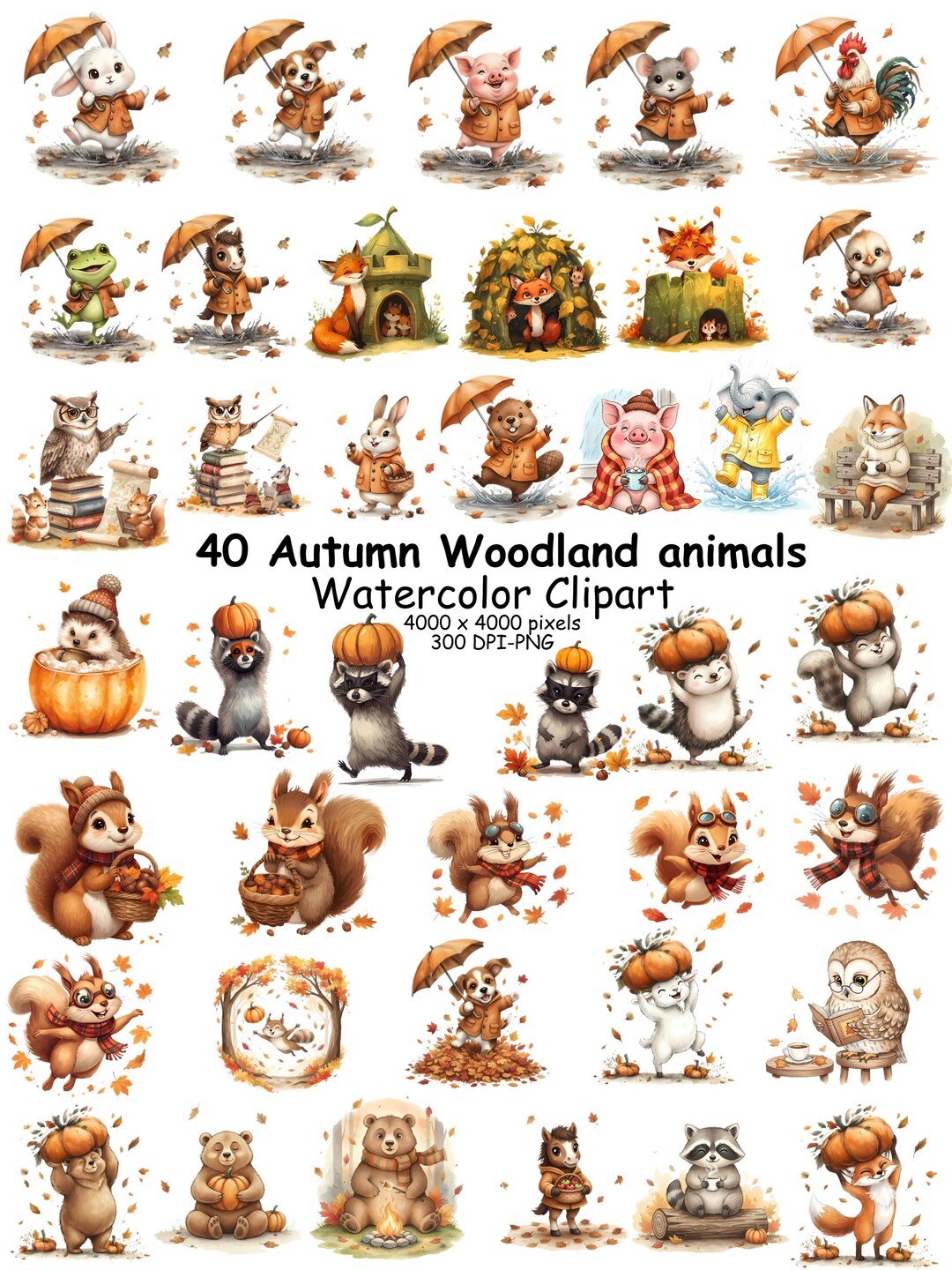 40 Autumn Woodland Animals PNG Clipart Bundle, Fall Forest PNG Images ...